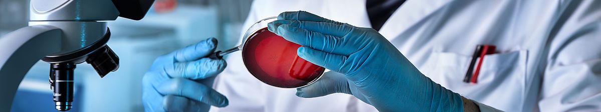 Institut für Pathologie - LKH Hochsteiermark